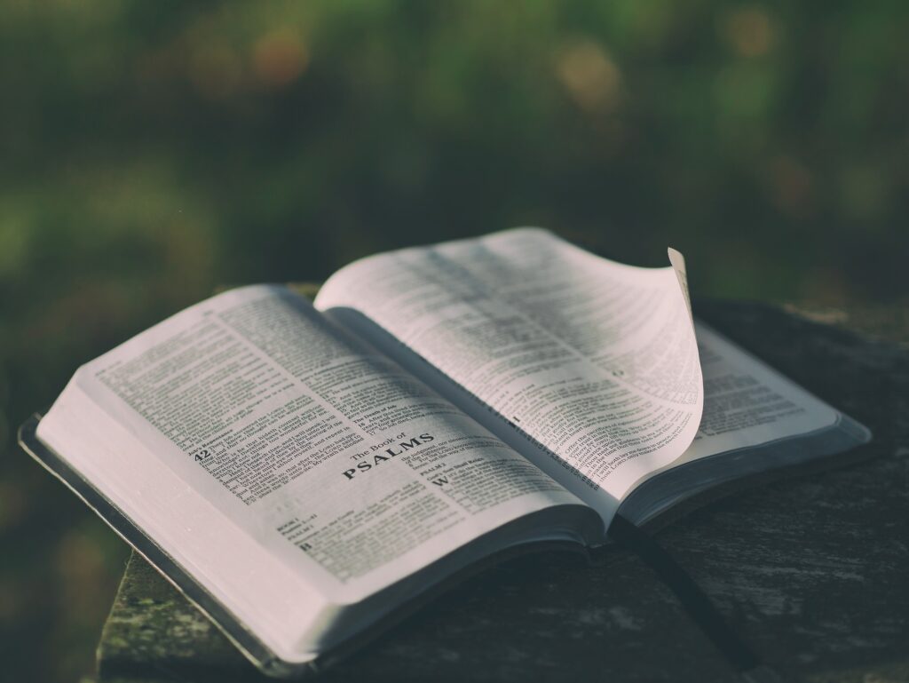 Die Bibel – Erkenntnisse aus der Bibel